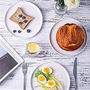 AmorArc Ceramic Dinner Plates Set of 6, 10.0 Inch Matte Stoneware Plates for Kitchen,Modern Flat Dinnerware Dishes Set,Microwave& Dishwasher Safe, Scratch Resistant, Matte white