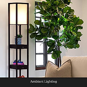 Brightech Maxwell Drawer Edition - Modern Shelf Floor Lamp with Drawer - Corner Display Floor Lamps with Shelves for Living Room, Bedroom and Office - Black