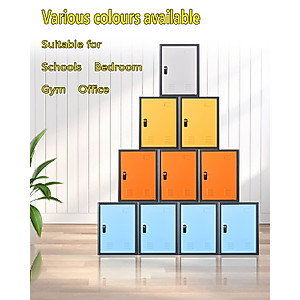 KAER Locker Storage Cabinet,Lockable Storage Cabinet,Metal Locker Storage Cabinet With1 Doors, 19.6" H Cabinet Organizer, for School, Office, Home,Preschool,Garage,Storage Room- Assembly Required