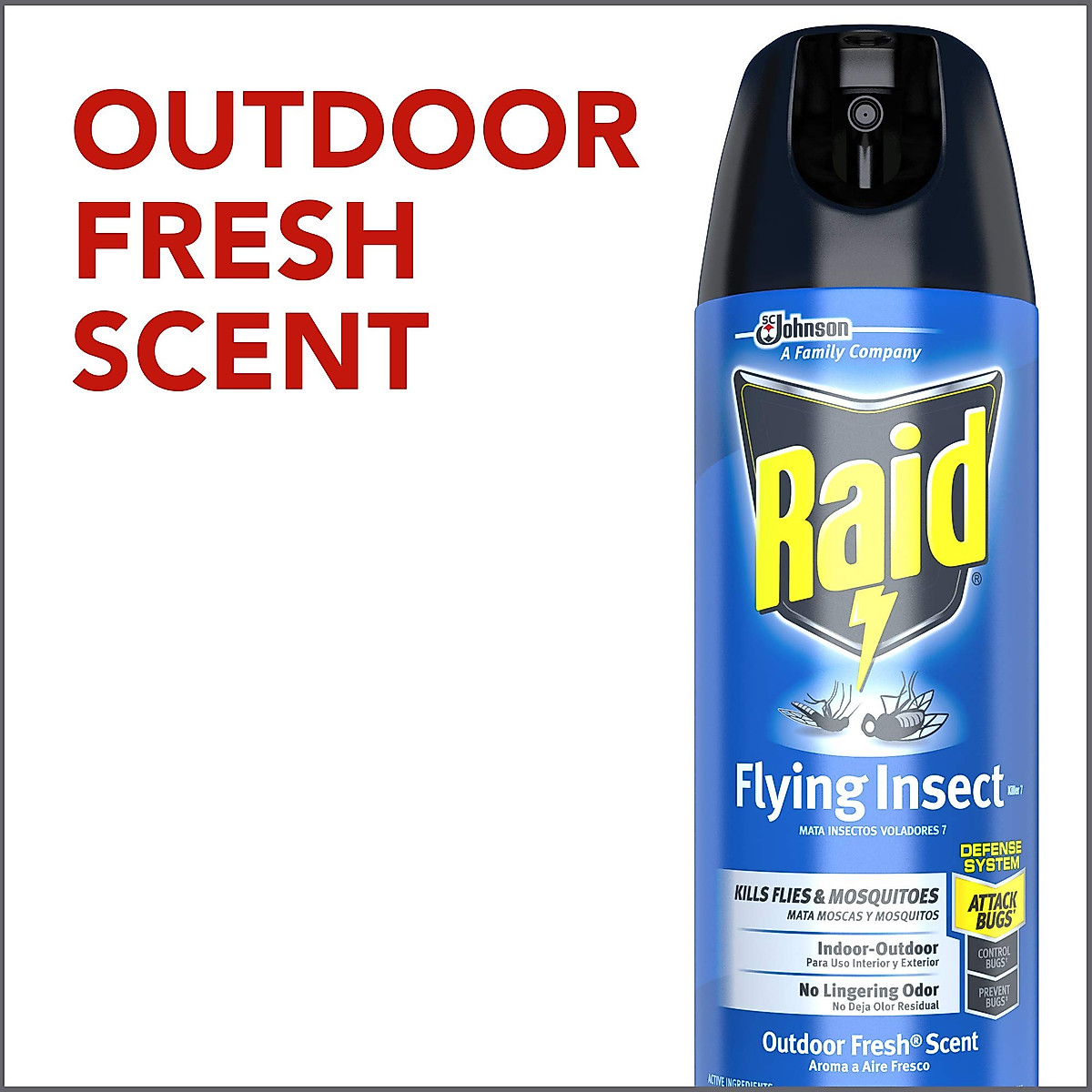 Raid Flying Insect Killer Lawn and Garden 20 Ounce (Pack of 2)