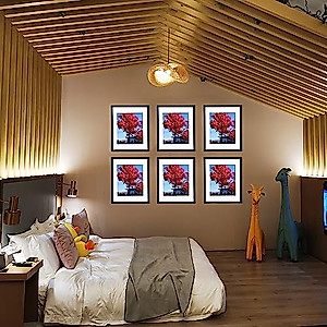 Medog 8.5x11 Picture Frames Made of Aluminum and Safely Plastic Cover for 8.5x11 Black Picture Frame 8.5x11 Industries Studio Gallery Frame 8.5 x 11 in Wall Mounting Certificates Picture Frame Black