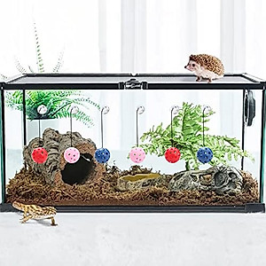 knana Bearded Dragon Toys Set - Bearded Dragon Bell Balls and Leash, Reptile Toy Ball for Bearded Dragon, Lizard, Gecko, Small Pet Animals