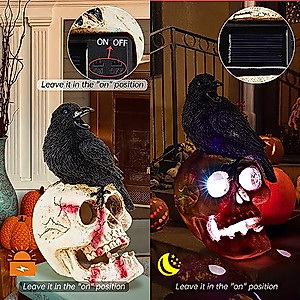 HUYIENO Solar Halloween Decoration with Crow in The Skeleton Solar Powered Garden Lights Color Changing LED Halloween Yard Lawn Party Outdoor Decorations