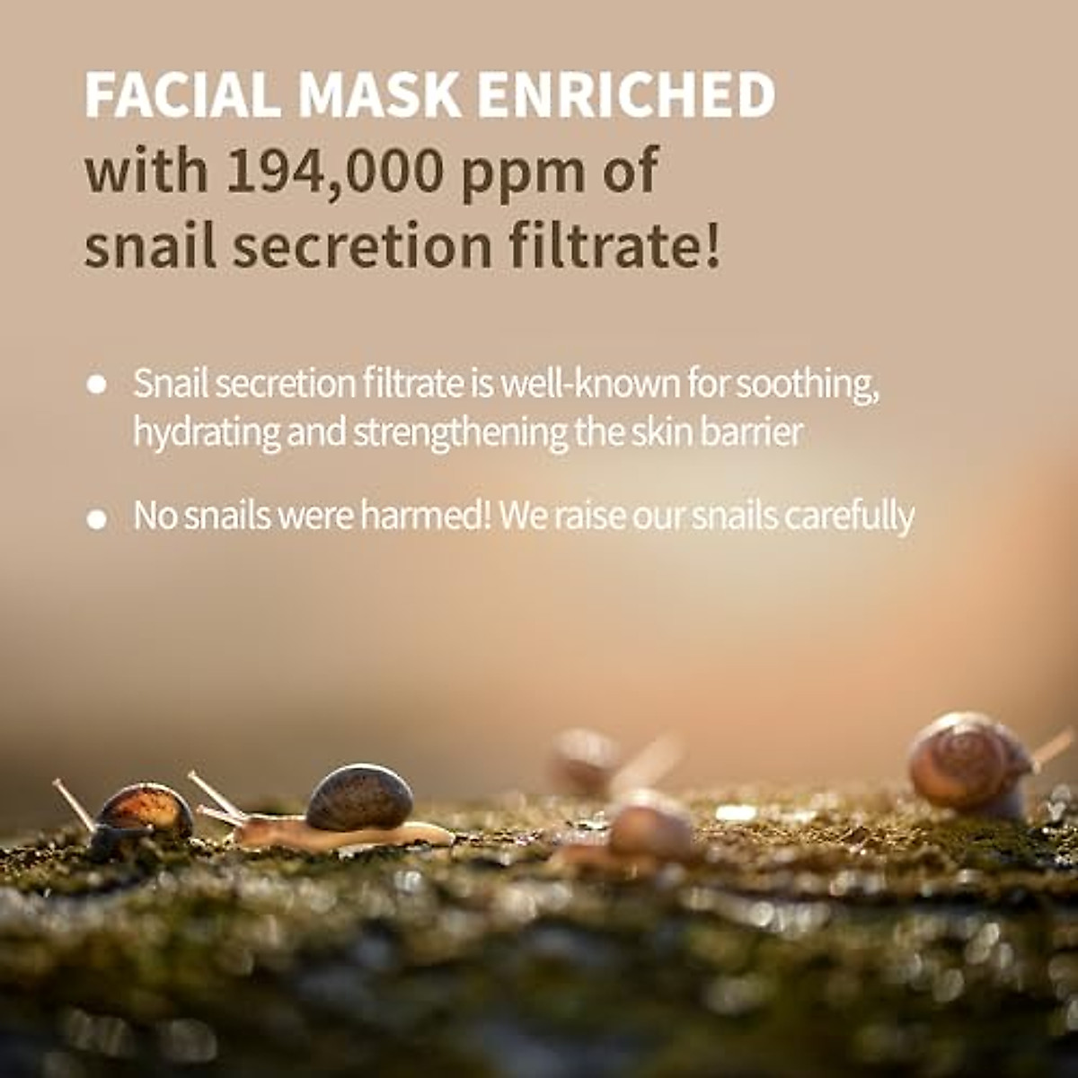 BENTON Snail Bee High Content Mask Pack (20g / 10 Sheets) - Snail Mucin Face Mask With Bee Venom | Korean Skin Care Face Mask Sheets For Moisturizing, Soothing and Nourishing (2022 Package)