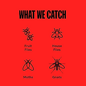 Dynatrap DT3007W Indoor Plug-in Flying Insect Trap for Flies, Fruit Flies, Moths, Gnats, and Other Flying Insects - 1 White Device + 2 Glue Cards