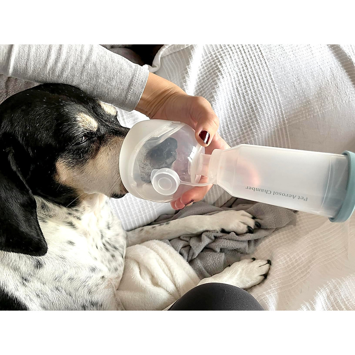 Canine Aerosol Chamber Inhaler Spacer for Cats, Dogs, Horse and Other Wildlife (Small-Cats&Puppies)