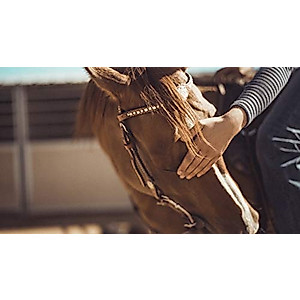 REDMOND Rock Crushed Loose Mineral Salt Electrolyte Supplement for Horses (5 LBS)