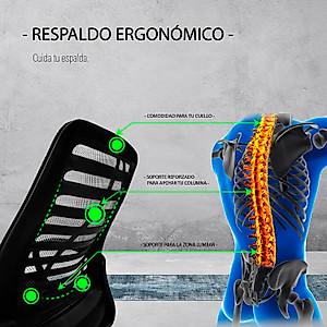 Andromeda Inc Office Chair, Ergonomic Swivel Desk, Adjustable to the Column and Lumbar Support, Breathable Mesh Material.