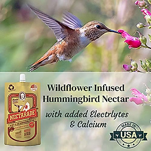 POP'S Birding Nectarade Hummingbird Nectar | USA Made Premium Humming Bird Food - Dye Free, Natural Ingredients (Ready to Use, All Natural Clear Formula, 8.5 oz)