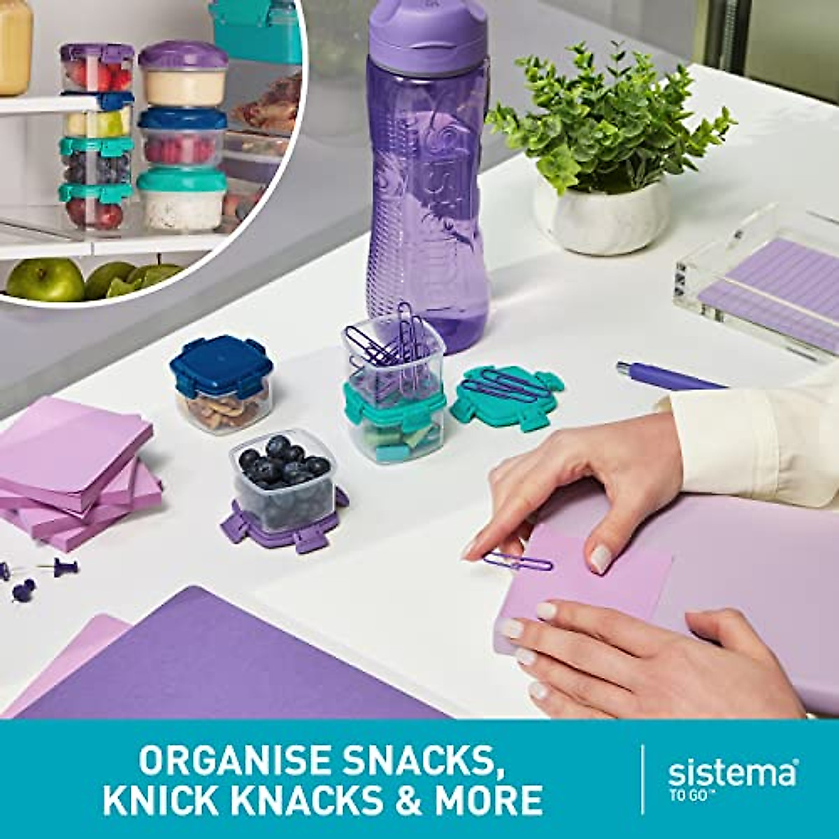 Sistema To Go Collection Mini Knick Knack Snack Container, 2.09 oz./62 mL, Pink/Green/Blue/Purple, 4 Count
