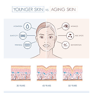 Collagen Beauty Peptide Serum 30ml Anti-aging with Neodermyl and Tripeptide Collagen Boosters and Hydrating Cream