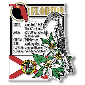 Florida Six-Piece State Magnet Set by Classic Magnets, Includes 6 Unique Designs, Collectible Souvenirs Made in The USA