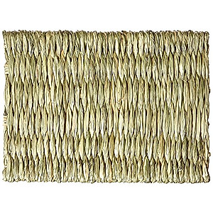 Oxbow Timothy Club - Timothy Mat for Pets, Medium, 2-Pack