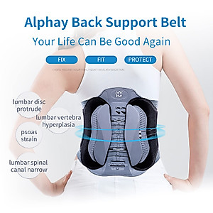 ALPHAY Back Brace - Immediate Relief from Back Pain, Herniated Disc, Sciatica, Scoliosis - Breathable Lumbar Belt with Lumbar Pad- Adjustable Support Straps- Lower Back Belt-L
