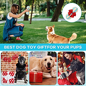 RAINFA Aggressive Chew Dog Toys, Lasting Dog Toy, Durable Nylon Bone, with Real Bacon pet Toys,Indestructible Bone,Cleaning Teething chewers Dog Toys, for Dogs, Pets,Large Dogs