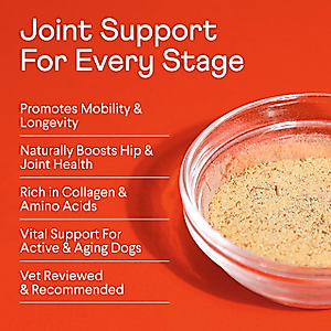 Finn Bone Broth Plus for Dogs | Joint & Mobility Topper Packed with Collagen & Amino Acids | Only 6 Ingredients | Powdered Meal Topper for Dogs