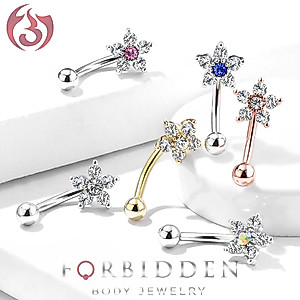 Forbidden Body Jewelry 16g 6mm Curved Barbell for Daith, Eyebrow, Rook & Belly Button w/CZ Floral Top, Clear/Aurora Borealis