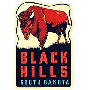 Black Hills South Dakota Buffalo