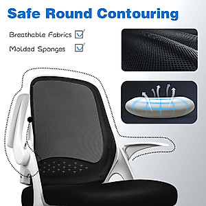 Devoko Office Chair Mesh Desk Chair Ergonomic Office Chair with Lumbar Support Swivel Computer Task Chair with Flip-up Arms Adjustable Height (Black)