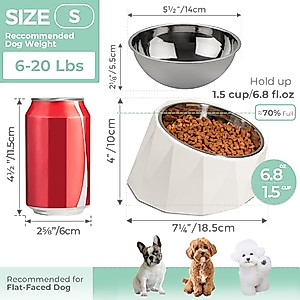 Elevated Dog Bowl for Small Dogs, Tilted Dog Bowl Dog Dish with Detachable Melamine Stand, Dog Food Bowl for French Bulldogs, Puppies, Cats, Non-Skid, Easier to Reach Food