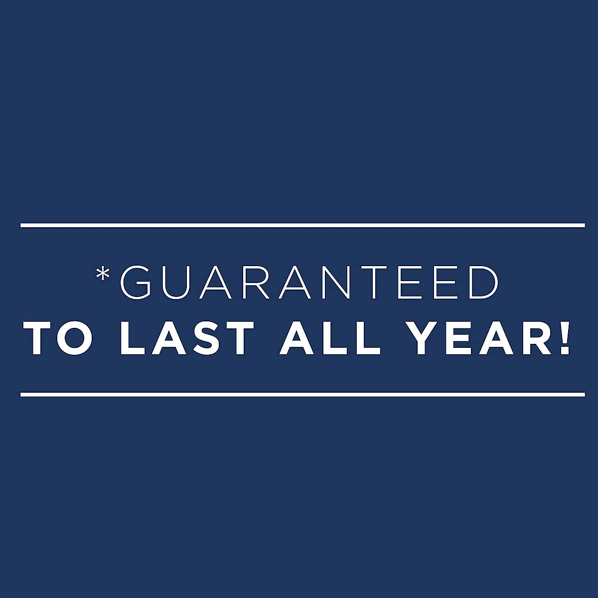 AT-A-GLANCE 2024 Daily Planner, DayMinder, Open Scheduling, 5" x 8", Small, Black (SK460024)