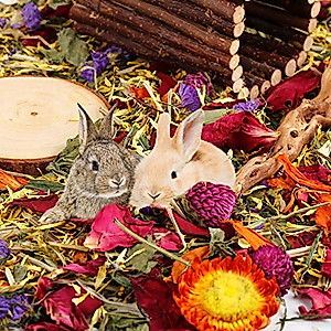 Hamster Bedding- Handmade Natural Flower Guinea Pig Bedding - for Squirrels, Guinea Pigs, Rabbits, Chinchillas, Prairie Dogs, Degus, Hamsters, Gerbils & Other Small Pets