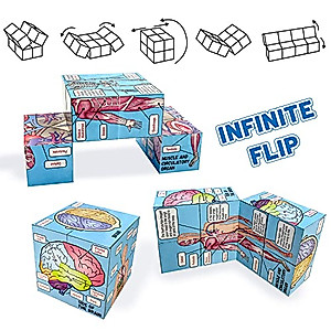 MIIRR Human Anatomy Study Cube Showing The 9 Parts of The Human Body with Pictures and Descriptions of Human Organs, Best Gift for Nurses, Medical Students