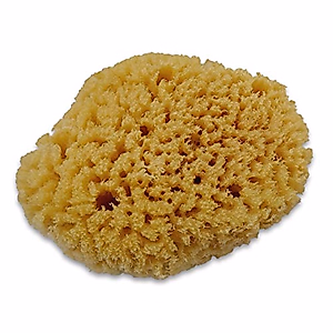 Constantia Pets Hermit Crab Real Sea Sponges - 5 Pack Unbleached, Provides Nutrients, Safer Drinking and Helps Maintain Habitat Tank Humidity