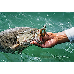 Berkley unisex-adult PowerBait Chigger Craw Watermelon ,4" (9 Count)