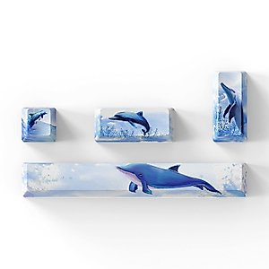 DAGK 4 Keycap Set, Dye-subbed PBT Keycaps, OEM Keycaps, Spacebar Keycap, Esc Keycap Enter Keycaps for DIY Cherry MX Gaming Mechanical Keyboard (Dolphin)