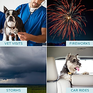 Ketona Daily Calming Chews with Hemp for Dogs, Natural Duck Flavor, Healthy Chewable Supplements That Promote Calming and Relaxation, Natural and Organic Ingredients – 120 Count