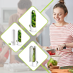 Cilantro Containers for Refrigerator, 2pcs Fresh Herb Keeper, Herb Saver Best Keeper for Freshest Produce, Clear Herb Storage Container Glass for 2-3 Weeks for Cilantro, Mint, Parsley, Asparagus