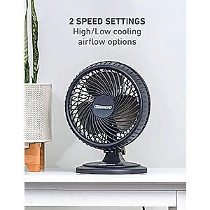 HOLMES BLIZZARD 7" Table Fan, 2 Speeds, 3 Blades, 85° Oscillation, 20° Adjustable Head, Home, Bedroom and Office, Charcoal Matte