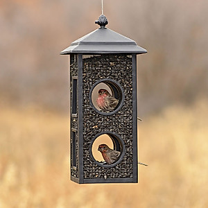 Perky-Pet B00303 Fly-Through Wild Bird Feeder