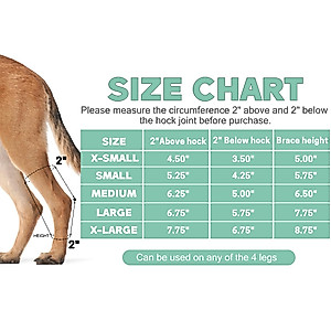 Lyderpet Dog Leg Brace for Hind Hock Joint, Rear Ankle Compression Wrap with Metal Strips Strong Support for Torn ACL & CCL, Prevents from Injury and Sprain, Helps with Wounds Care and Arthritis (S)