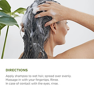 Lazartigue Repair Shampoo, Vegetal Keratin for Deep Repair & Shine, Vegan, Sulfate-Free, Silicone-Free, for Damaged Hair, 8.4 Fl. Oz.