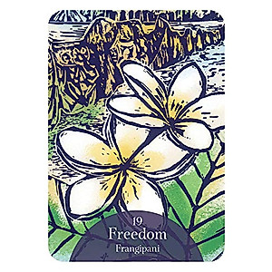 The Language of Flowers Oracle: Sacred botanical guidance and support (44 Full-Color Cards and 144-Page Guidebook) (Rockpool Oracle Card Series)