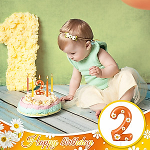 Flutesan 13 Pcs Birthday Candles Included 1 Pcs 2.4 x 1.3 Inches Daisy Flower Candle Birthday Candle and 12 Pcs Birthday Candles in Holders for Birthday Celebrations Party Decoration(Number 2)