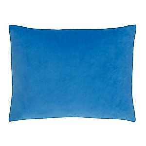 Disney Cars Radiator Springs Blue and Red Lightning McQueen and Tow-Mater Decorative Toddler Pillow