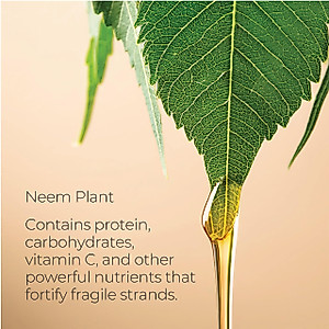 L'ANZA Healing Strength Neem Plant Silk Hair Serum, Neem Oil Anti Frizz Damaged Hair Treatment, Nourishes, Strengthens, Boosts Shine, Repairs and Prevents Breakage From Split Ends (3.4 Fl Oz)