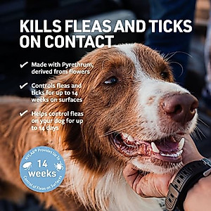 Veterinary Formula Flea and Tick Spray for Dogs, 8 oz – Easy-to-Use Dog Flea Spray, Kills on Contact, Prevents Egg & Larval Development for 14 weeks