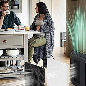 116130 Replacement Filter H for Winix 5500-2 Am80 Plasmawave Air Purifier True HEPA Carbon Filter, 2 Set