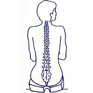 TUSH CUSH Home Office Orthopedic Large Computer Ergonomic Seat Cushion Original - Charcoal Velour Fabric