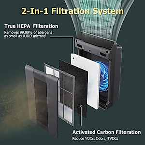 Improvedhand 115115 Filter A Replacement Compatible with Winix PlasmaWave Air Puri-fier C535 5300 5300-2 6300 6300-2 5000 5000b 9000 C909 AM90, 6 Pc H13 True High Efficiency Filters