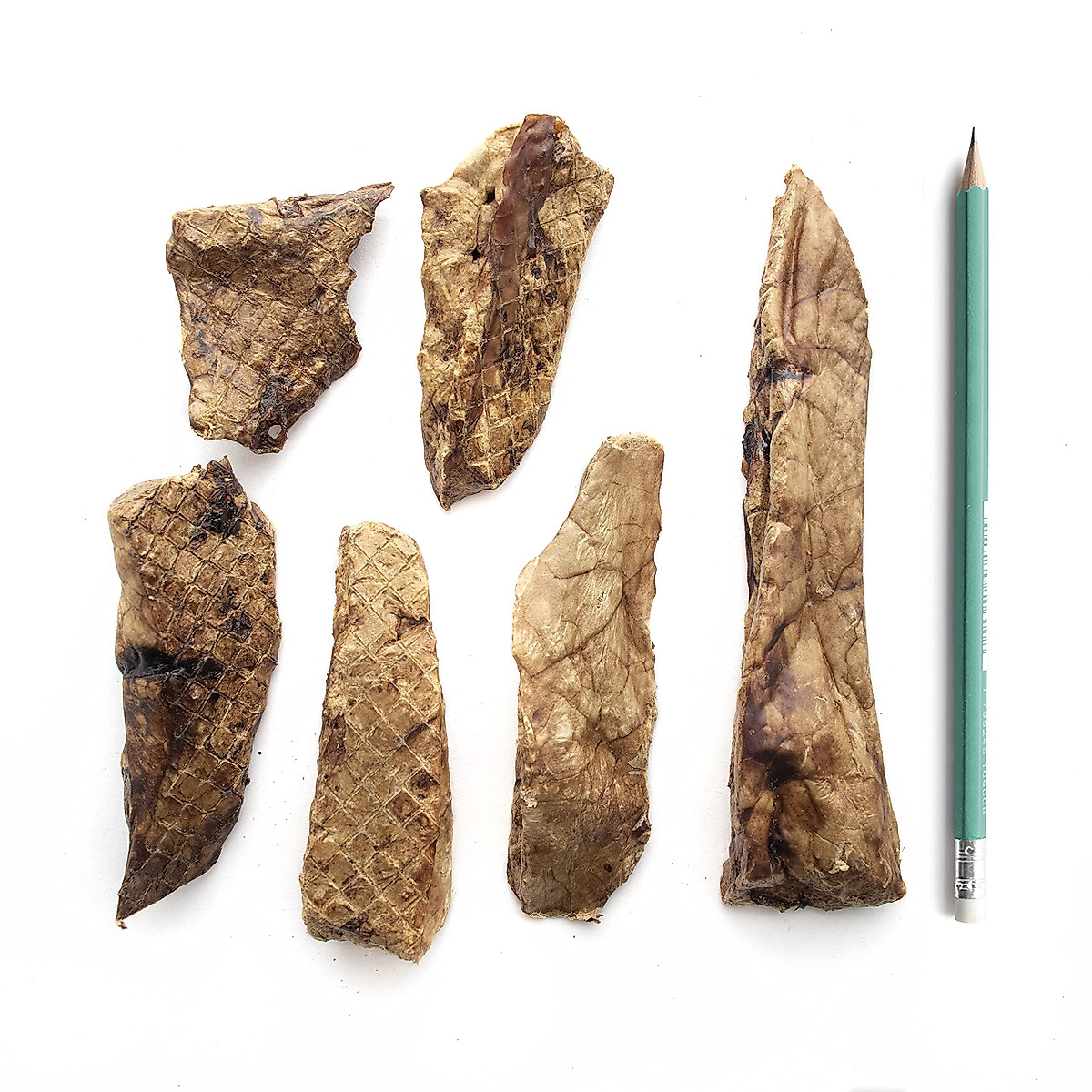 SUPER CAN BULLYSTICKS Pork Lung Bites Dog Treats (12oz) | 100% Natural Chews | High in Vitamin B6, B12, C, Iron, Copper & Zinc | Training Treats for Small Dogs