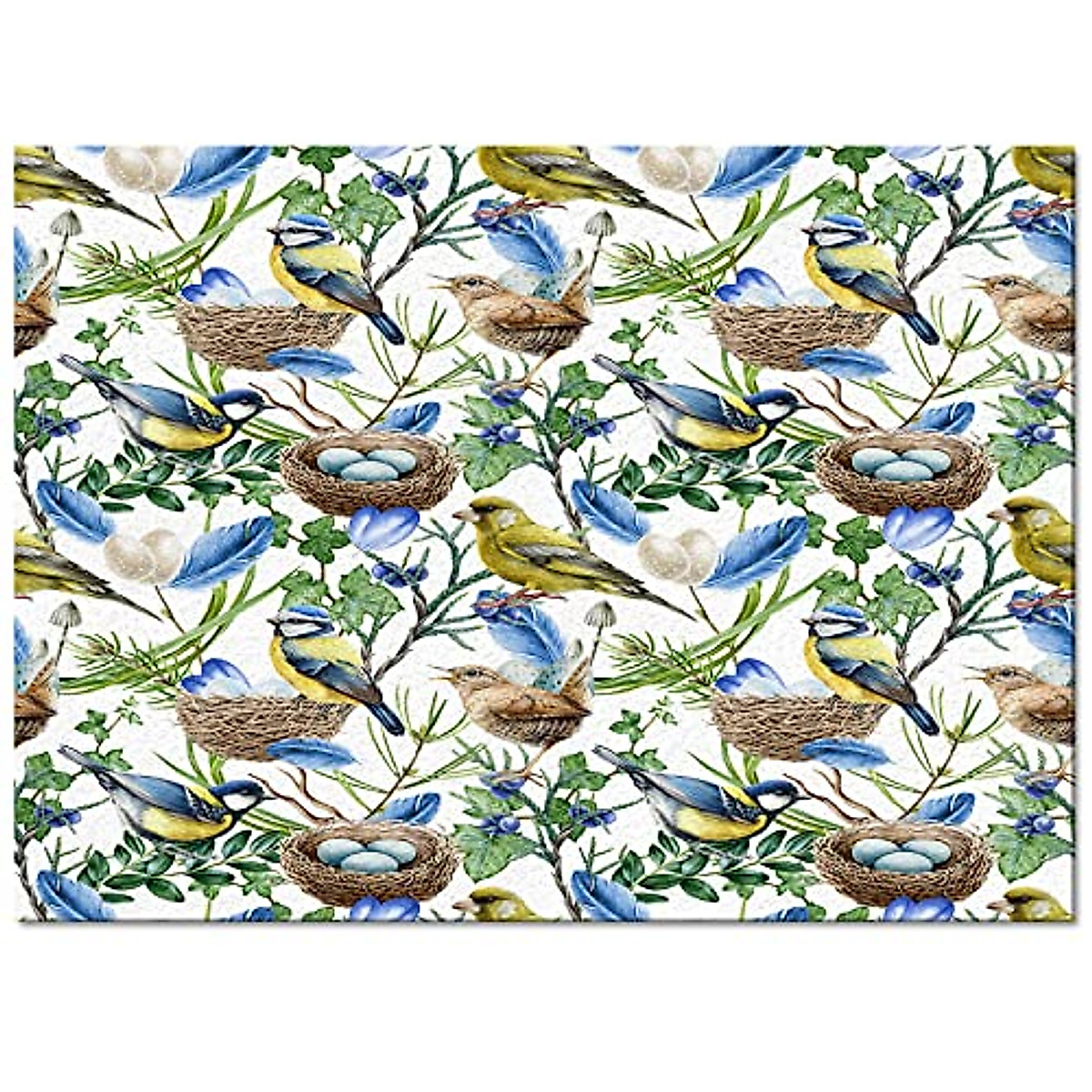 Leaves Birds Area Rug 3'x5',Blue Green Branch Plant Fruit Feather Egg Outdoor Indoor Small Carpet Runner for Kids Teen Girls Boys Bedroom,Living Room,Bathroom,Office,Kitchen,Washable Area+Rug