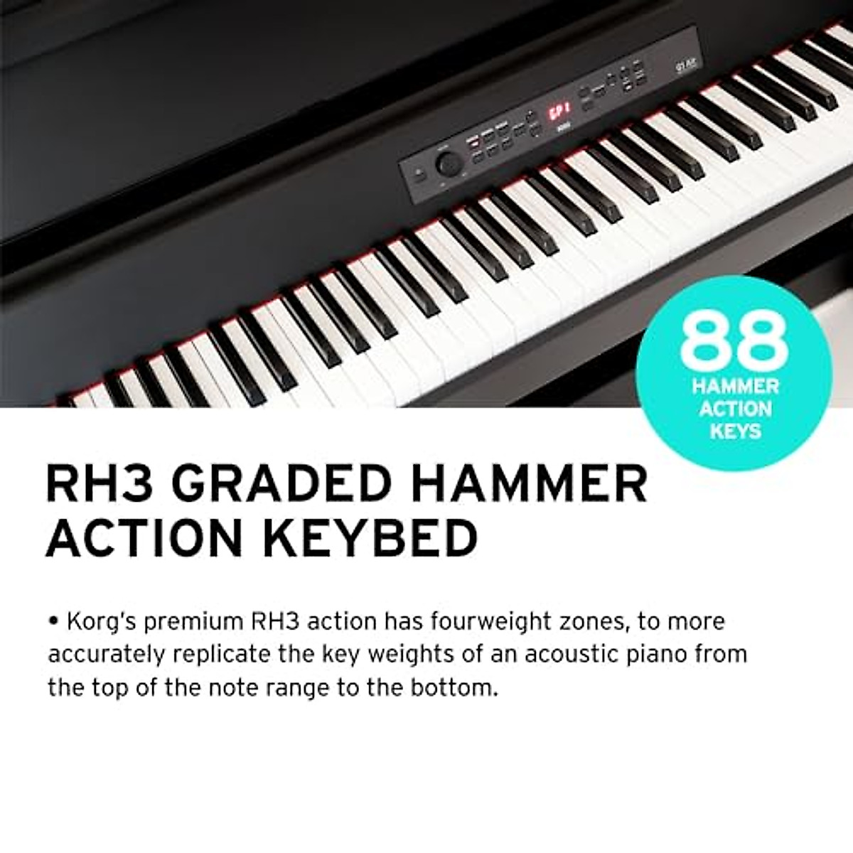 Korg, 88-Key Digital Pianos-Home (GB1AIRBR)