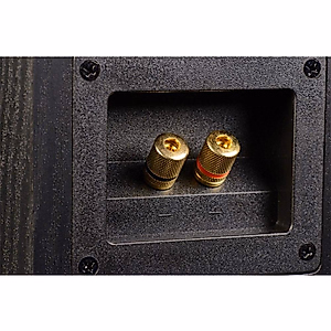 Pioneer SP-BS22-LR Andrew Jones Home Audio Bookshelf Loudspeakers (Set of 2)