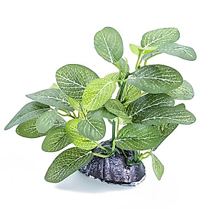 MRTIOO Reptile Artificial Plants, Terrarium Plants Decorations Supplies, Amphibian Habitat Hideout Tank Accessories, Rainforest Ground Plant (H)