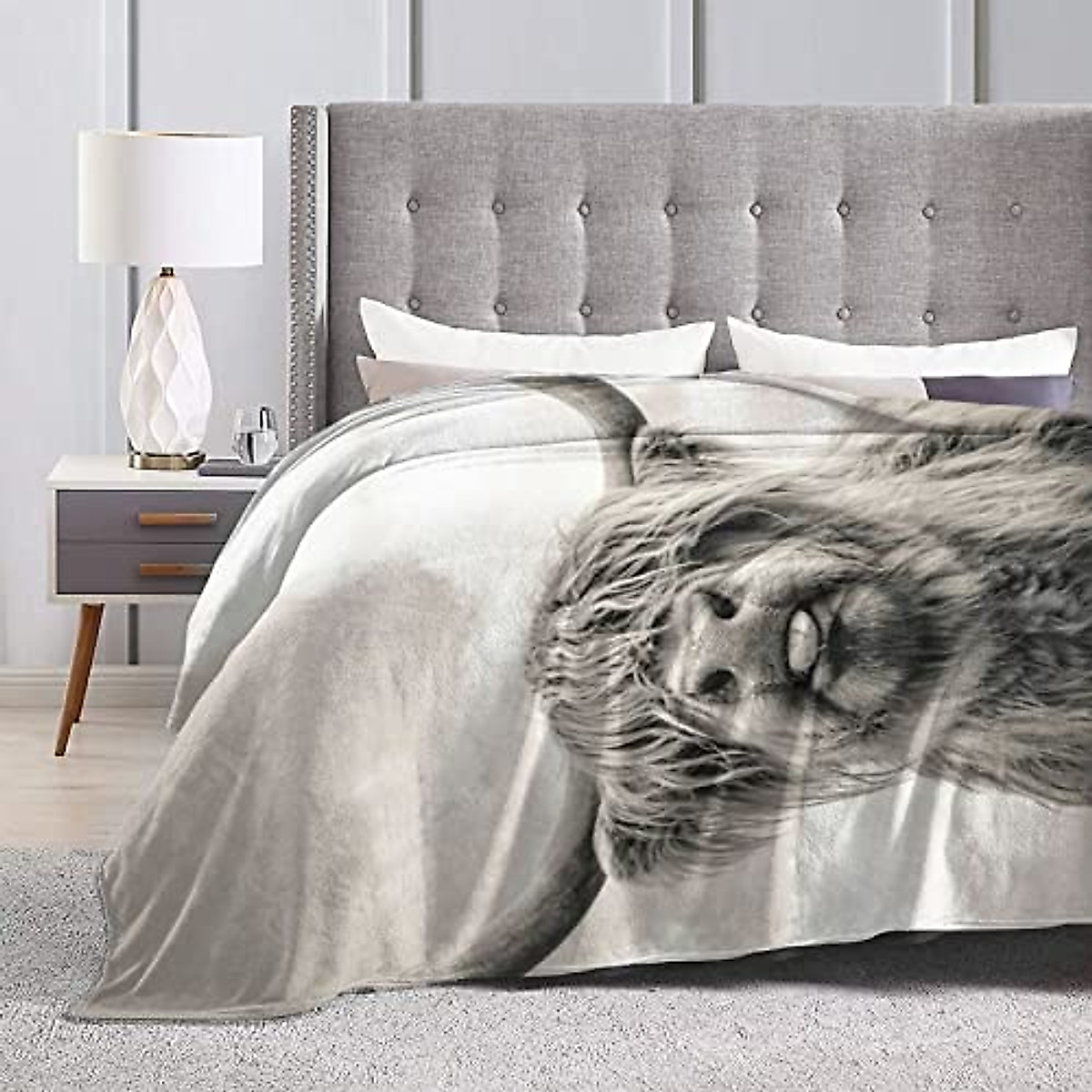 Billichase Highland Cow Blanket Portrait of Cow Pattern Flannel Fleece Throw Blanket Scotland Scottish Horns Bull Cattle Blankets for All Seasons for Couch Bed Sofa 50 X 40 Inches